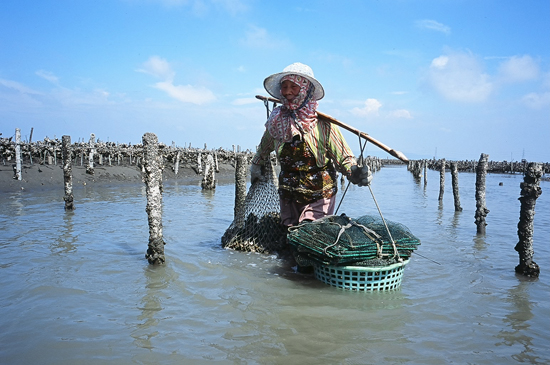 Ebb and Flow: Hai An Chun Xiang | Taiwan Docs